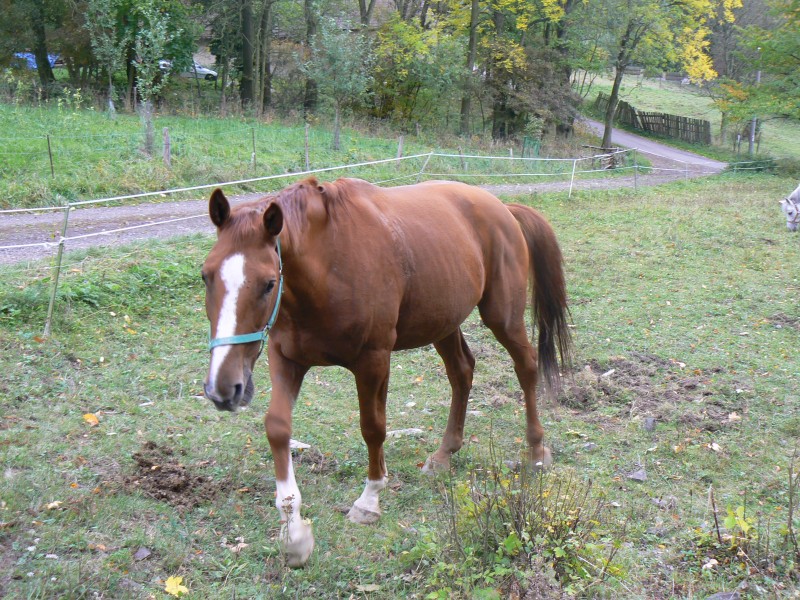 OndraVojta | MyTreneek.cz